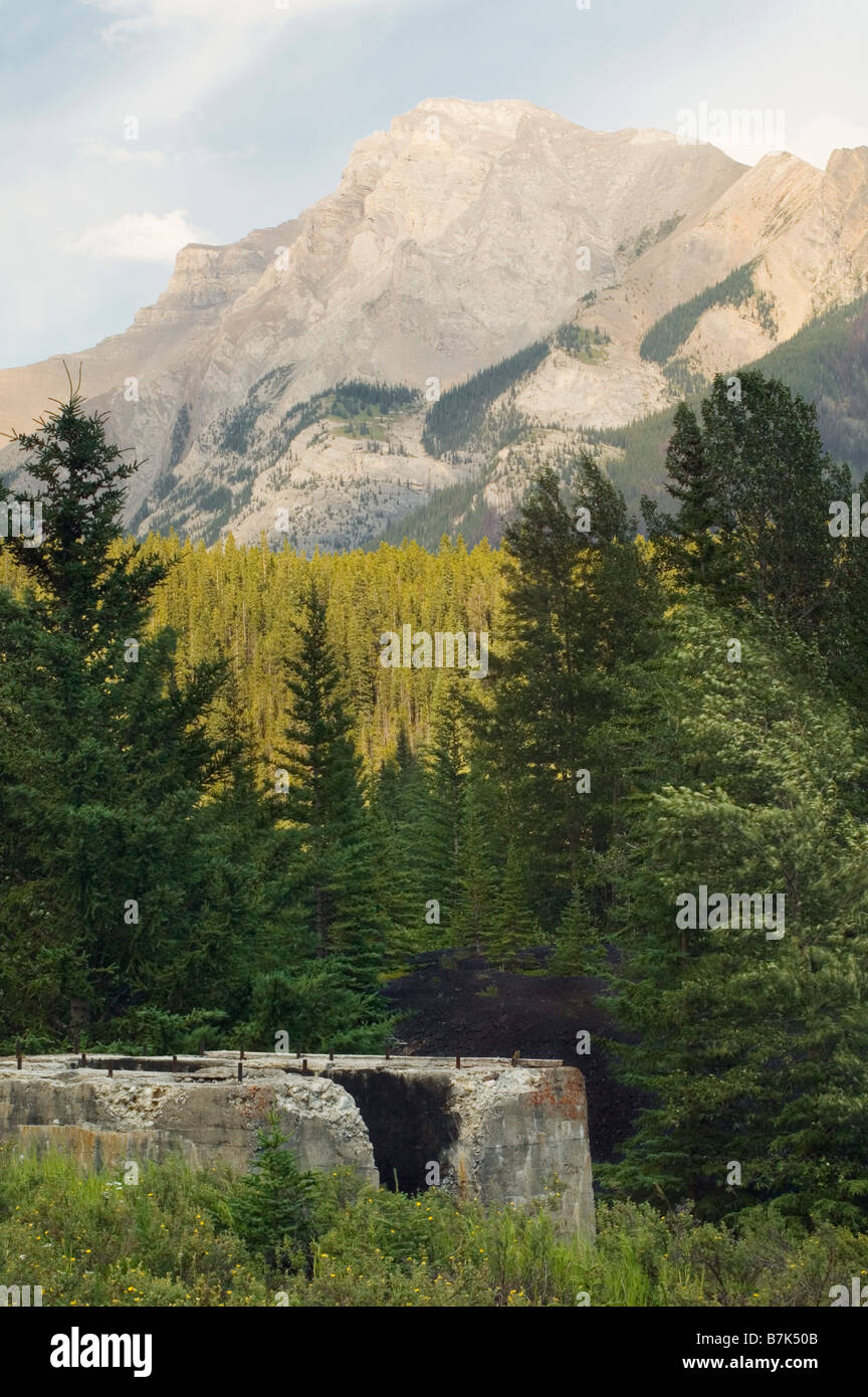 Bankhead canada hi-res stock photography and images - Alamy