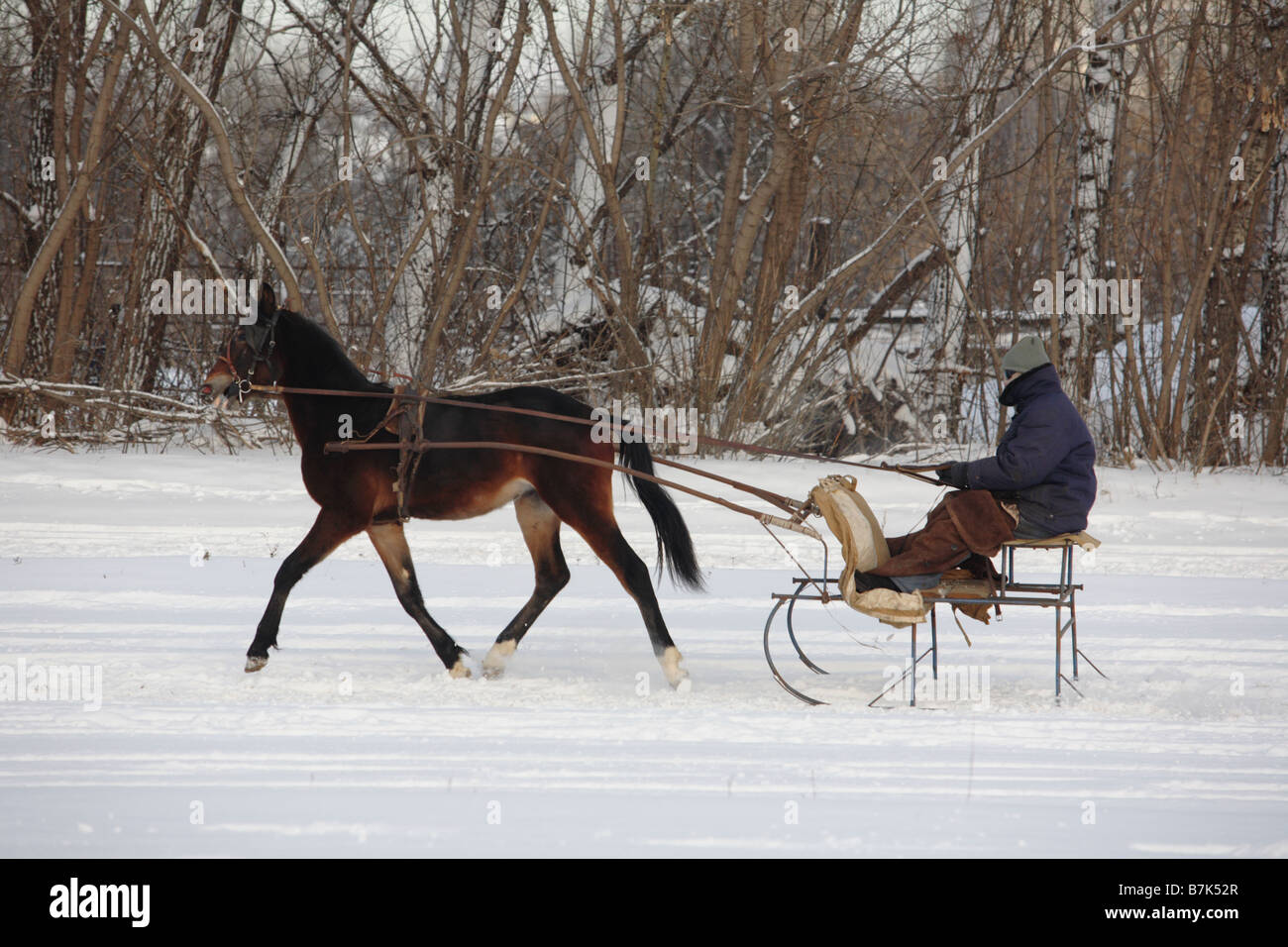 The Russian muzhik goes on sledge on winter road. Der russische Mann ...