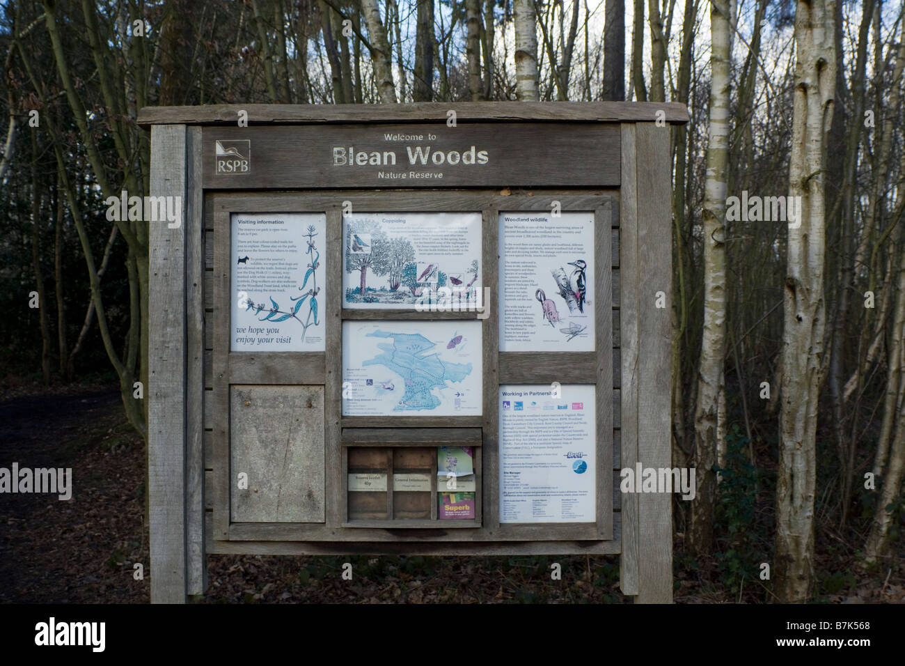 Coppicing hi-res stock photography and images - Alamy