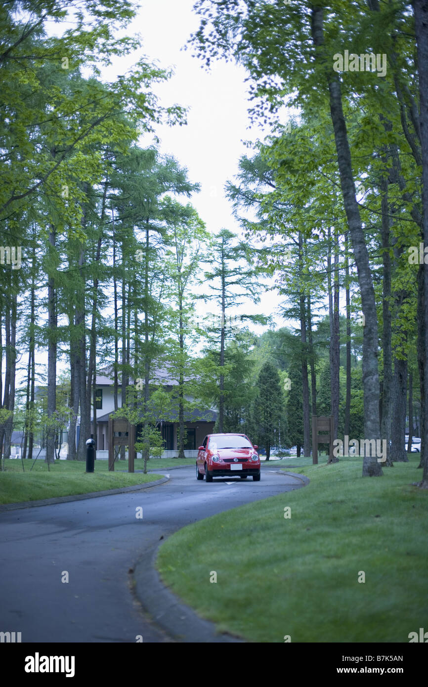 Red Car on Forest Road Stock Photo - Alamy