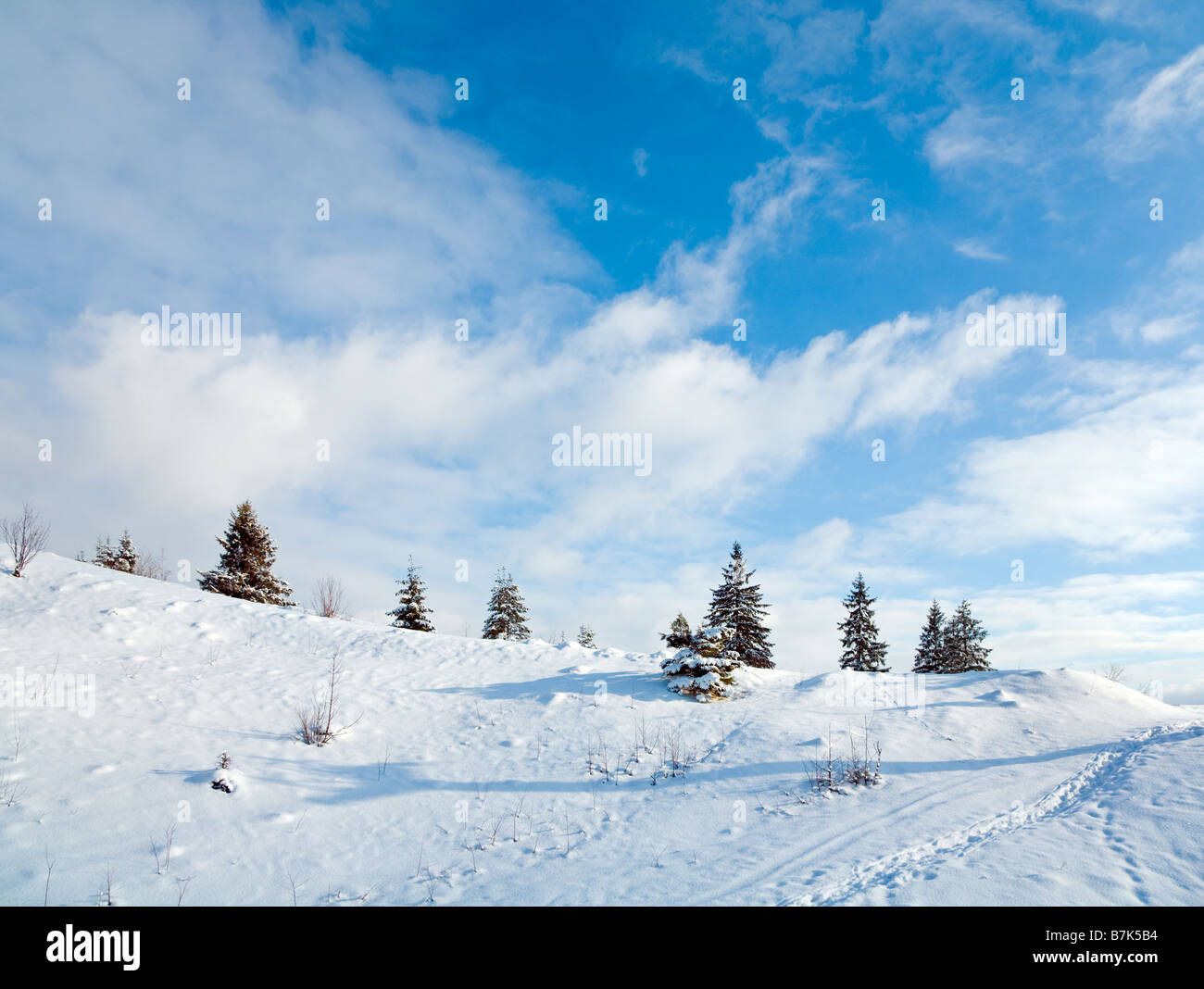 Snow slope tree hi-res stock photography and images - Alamy