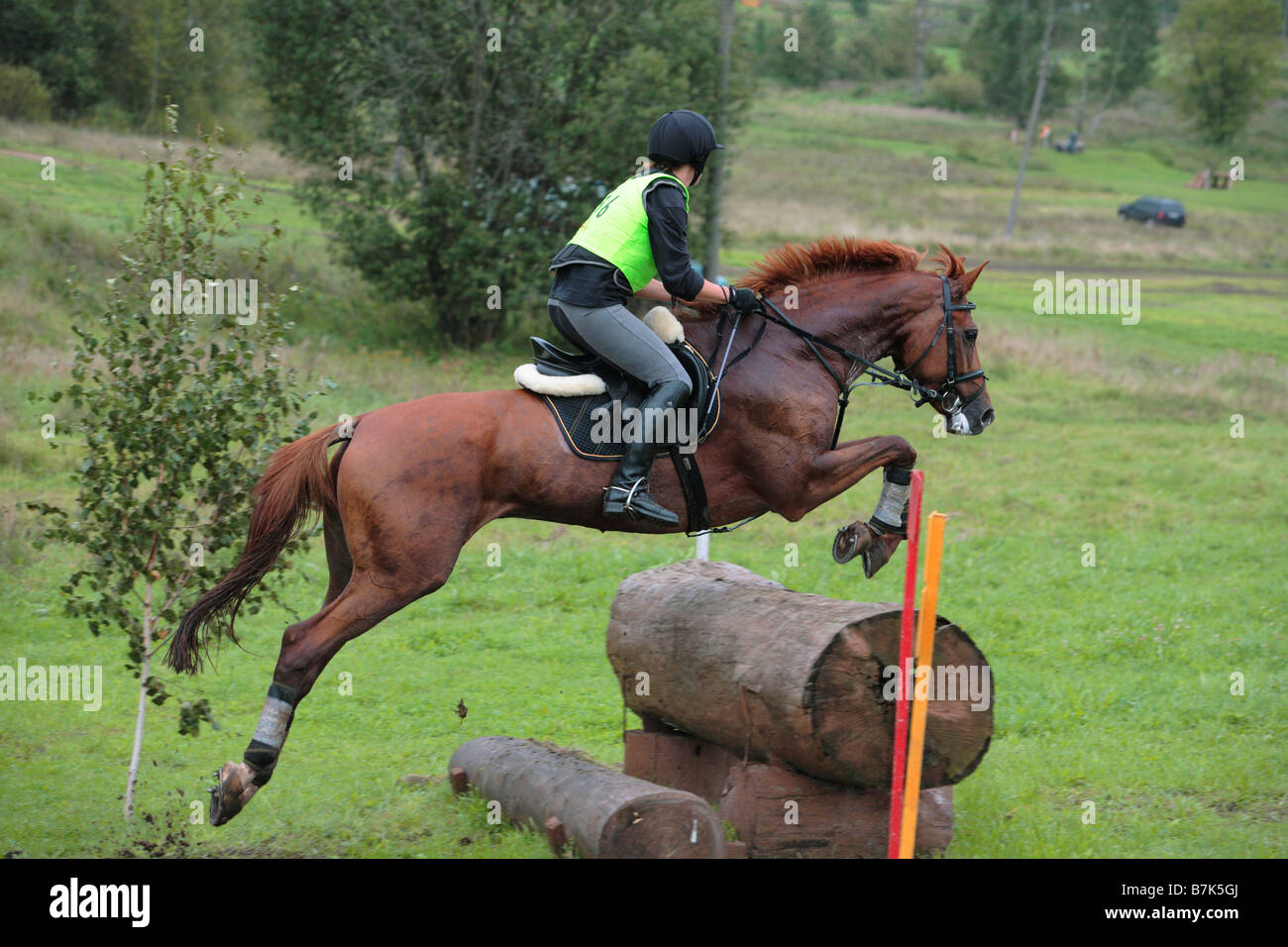 Back view horse jumping hi-res stock photography and images - Alamy