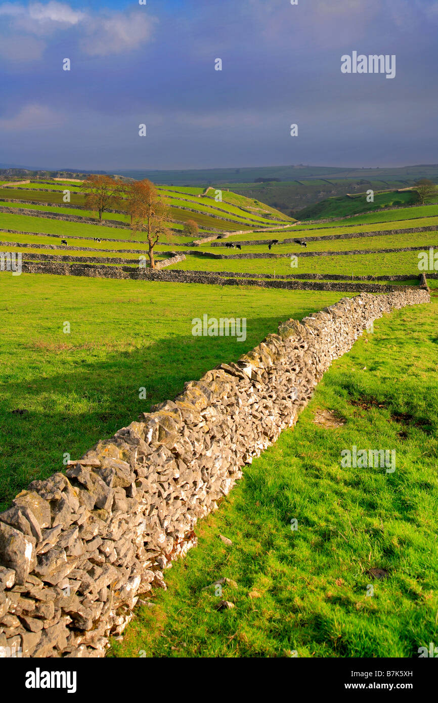 Drystone Walling near Litton village Peak District National Park ...