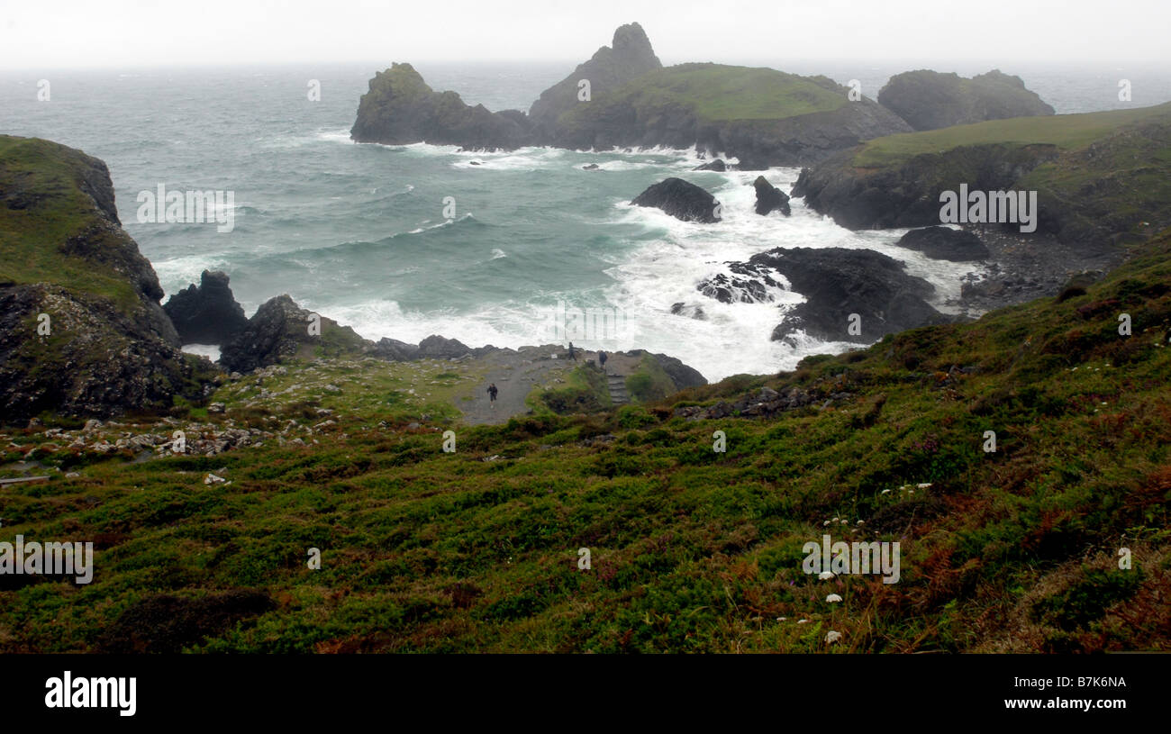 Wet lizard hi-res stock photography and images - Alamy