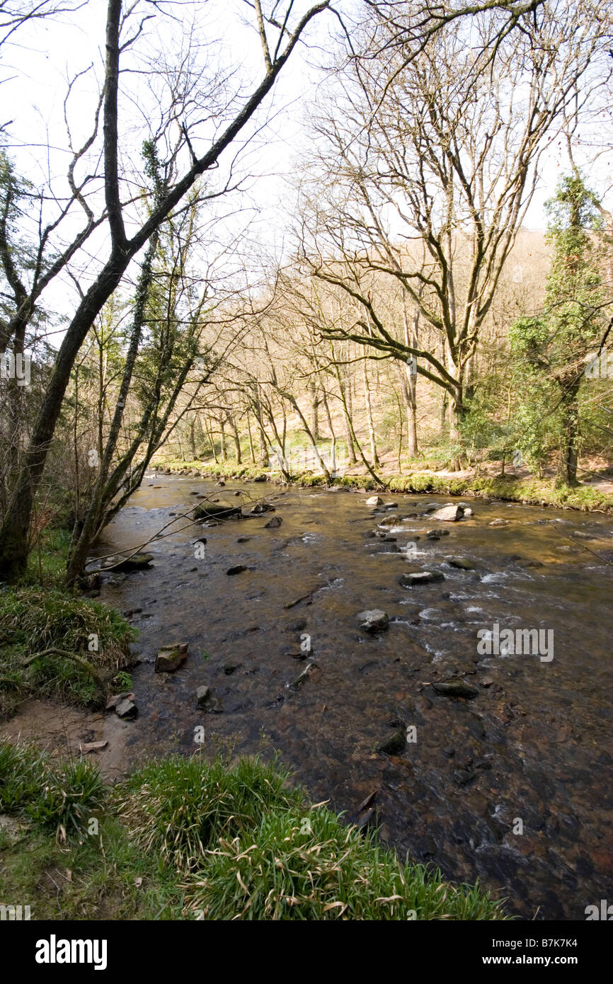 Wooded stream hi-res stock photography and images - Alamy