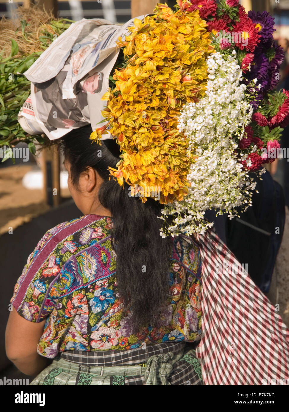Flora guatemala central america hi-res stock photography and images - Alamy