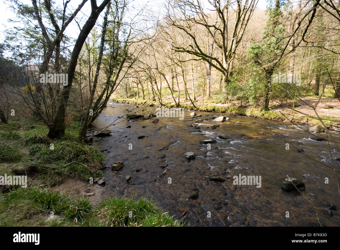Wooded stream hi-res stock photography and images - Alamy