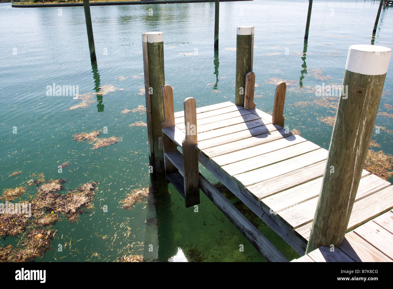 Weed dock hi-res stock photography and images - Alamy
