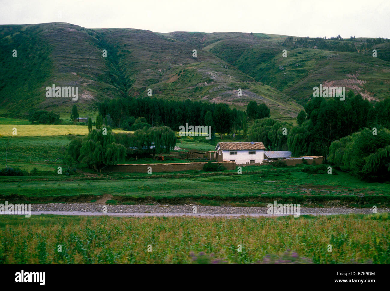 family farm, farm, farmland, farmstead, Urubamba River Valley, Andes ...