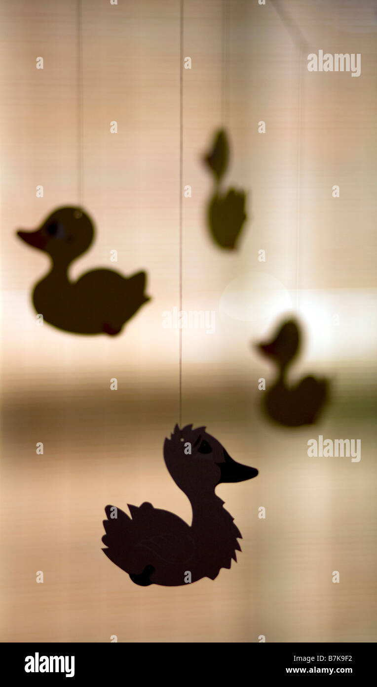 Duckling play hi-res stock photography and images - Alamy