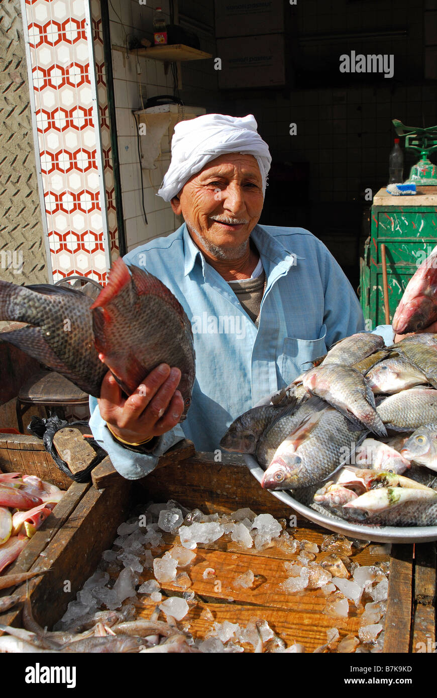 CAIRO, EGYPT. A fishmonger in Old Cairo market Stock Photo - Alamy