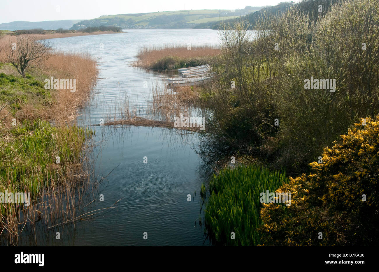 Slapton ley hi-res stock photography and images - Alamy