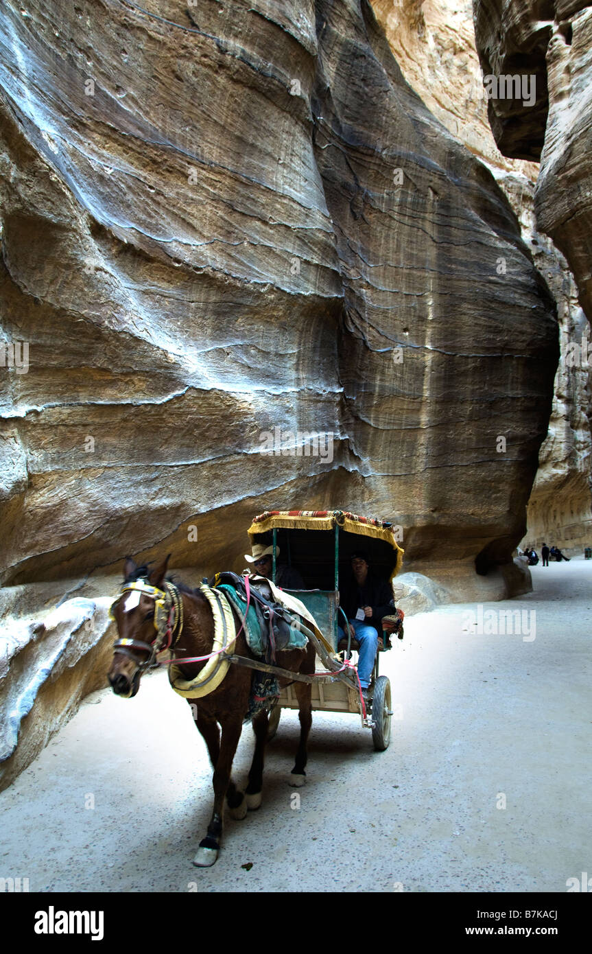 Arab young man horse hi-res stock photography and images - Alamy