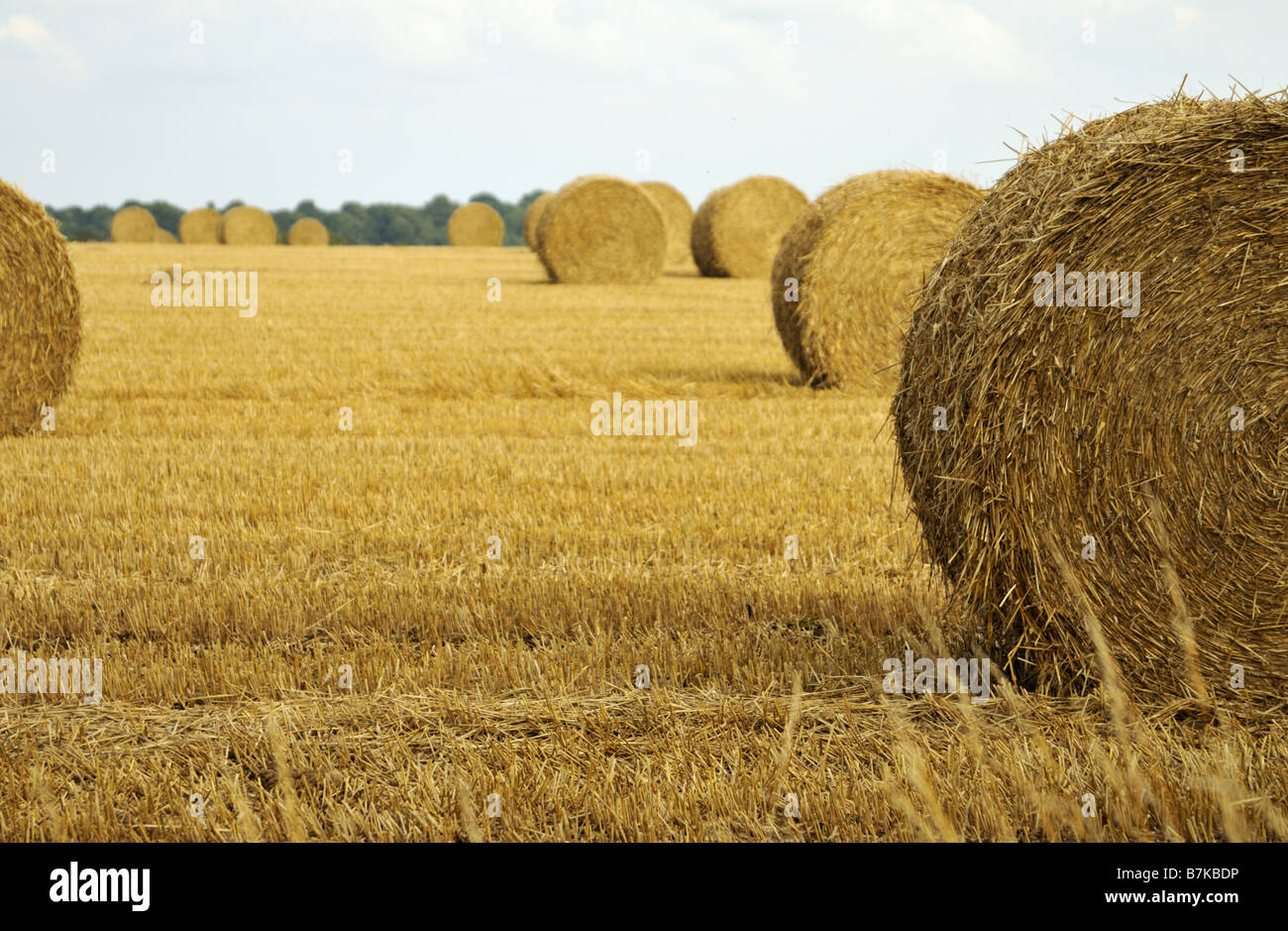 French agriculture hi-res stock photography and images - Alamy