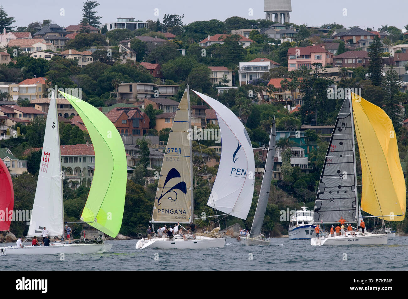 yacht racing in Sydney harbour Australia Stock Photo - Alamy