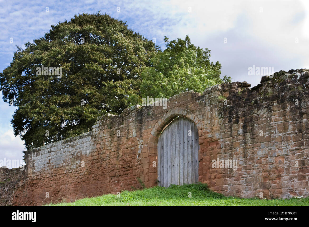 old wooden door in castle ruins wall Stock Photo - Alamy