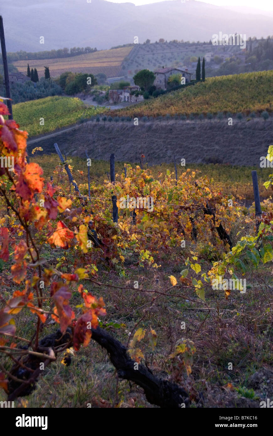 Chianti landscape hi-res stock photography and images - Alamy