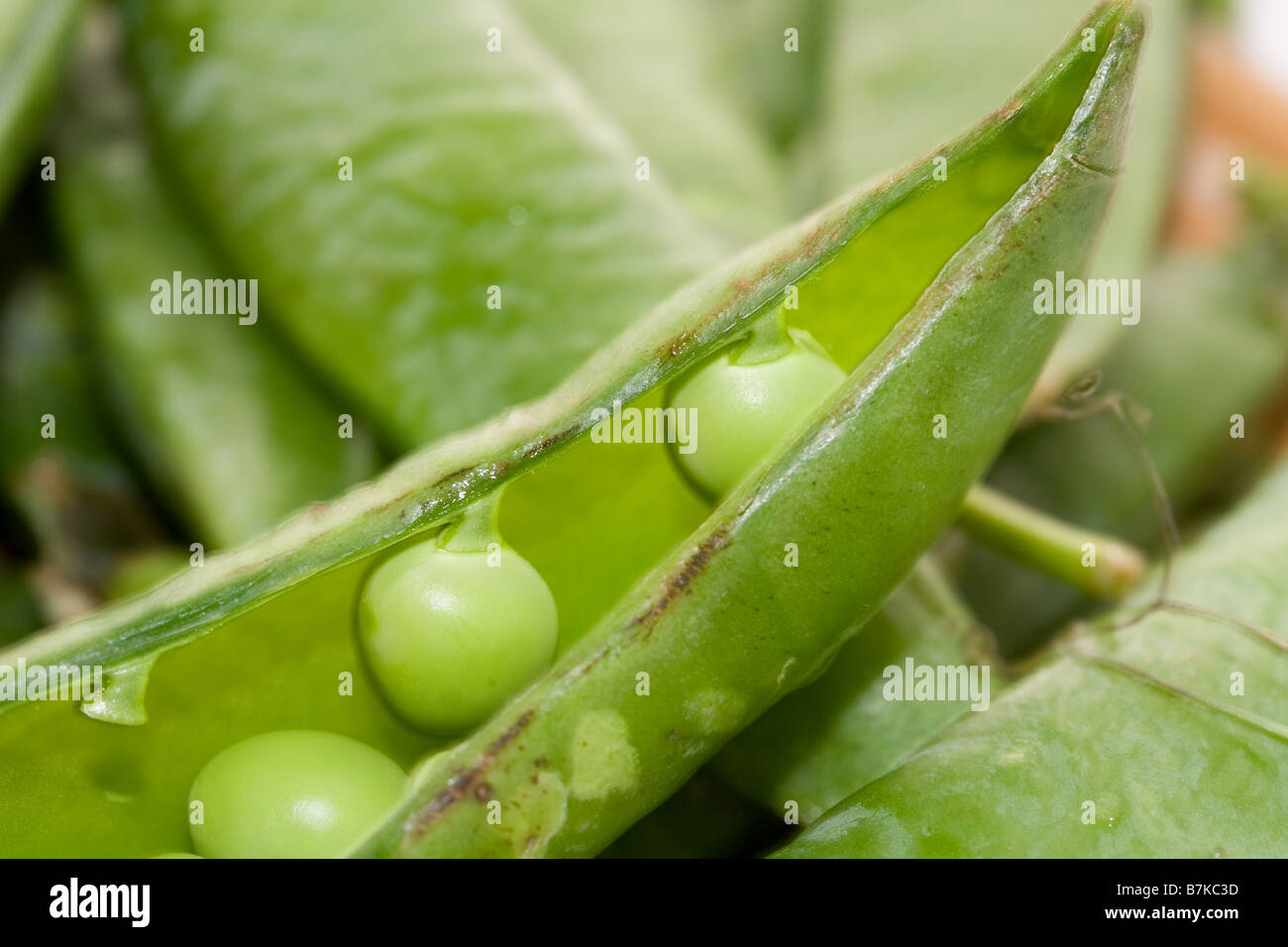 Green peas pod hi-res stock photography and images - Alamy