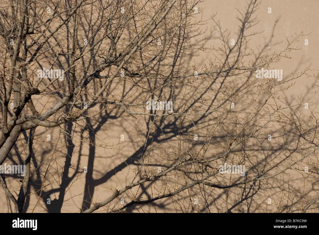 Drop shadow hi-res stock photography and images - Alamy