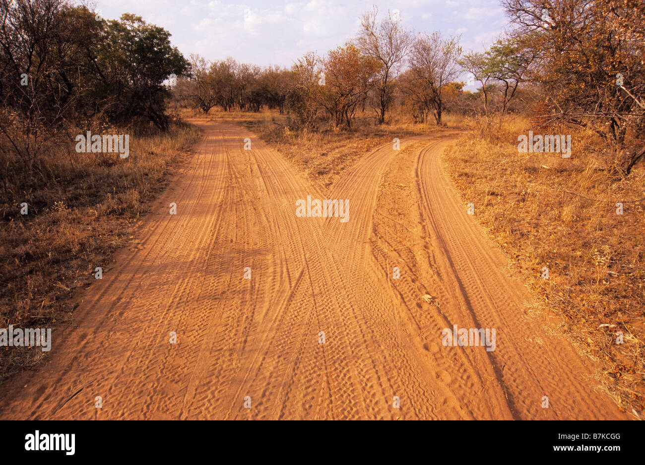 Road, beautiful landscape, Limpopo, South Africa, concepts, road ...