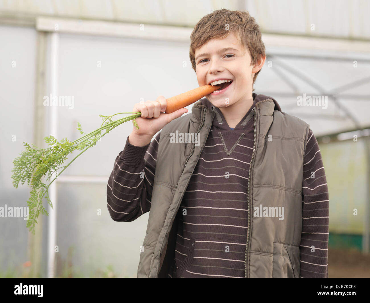 Carrot single one hi-res stock photography and images - Alamy