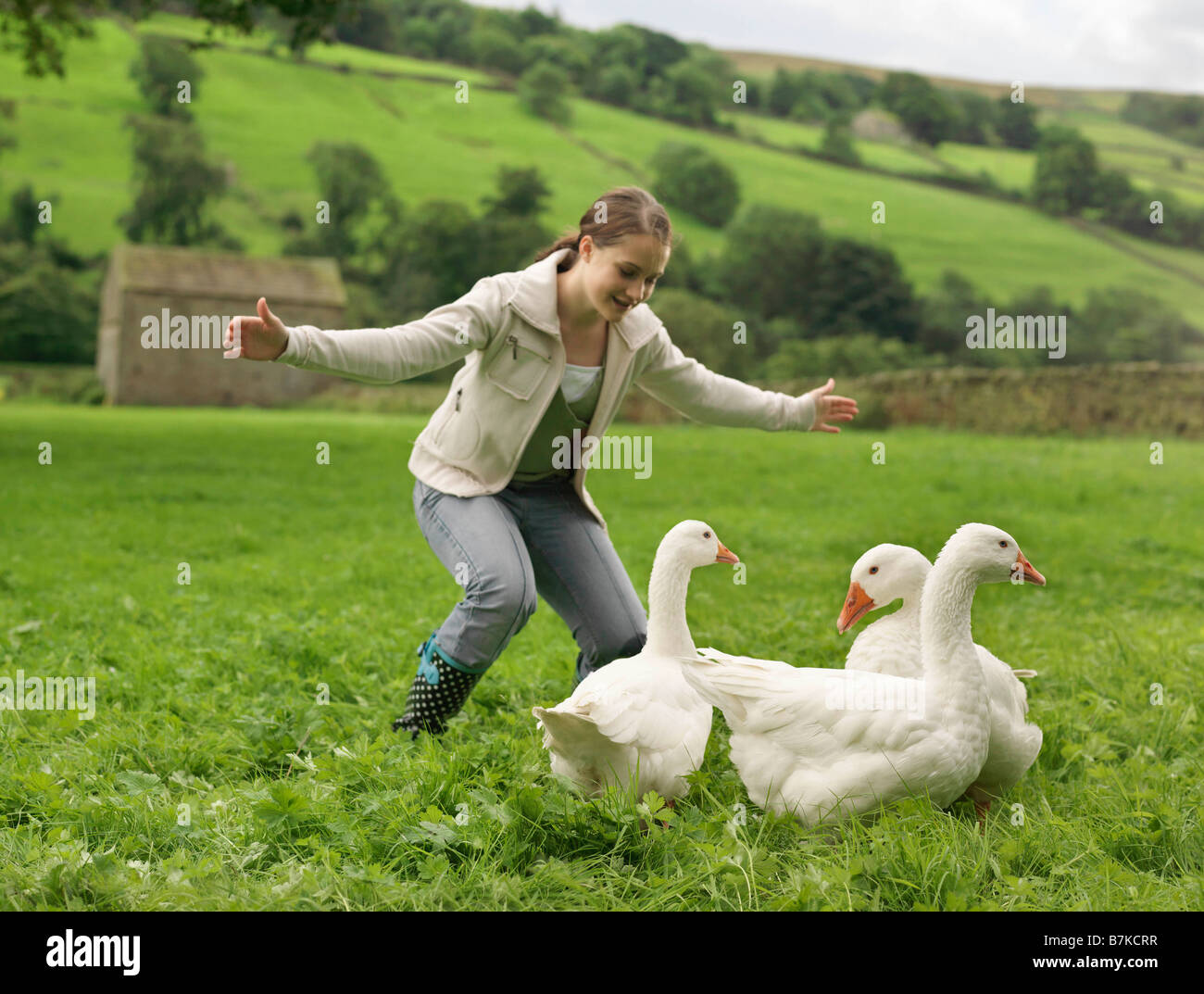 Child And Goose High Resolution Stock Photography and Images - Alamy