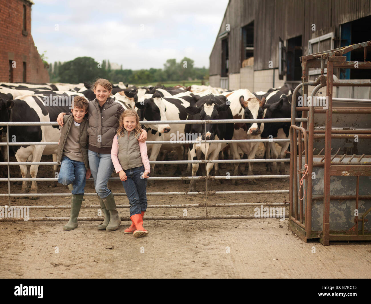 Children cow cows cattle hi-res stock photography and images - Alamy
