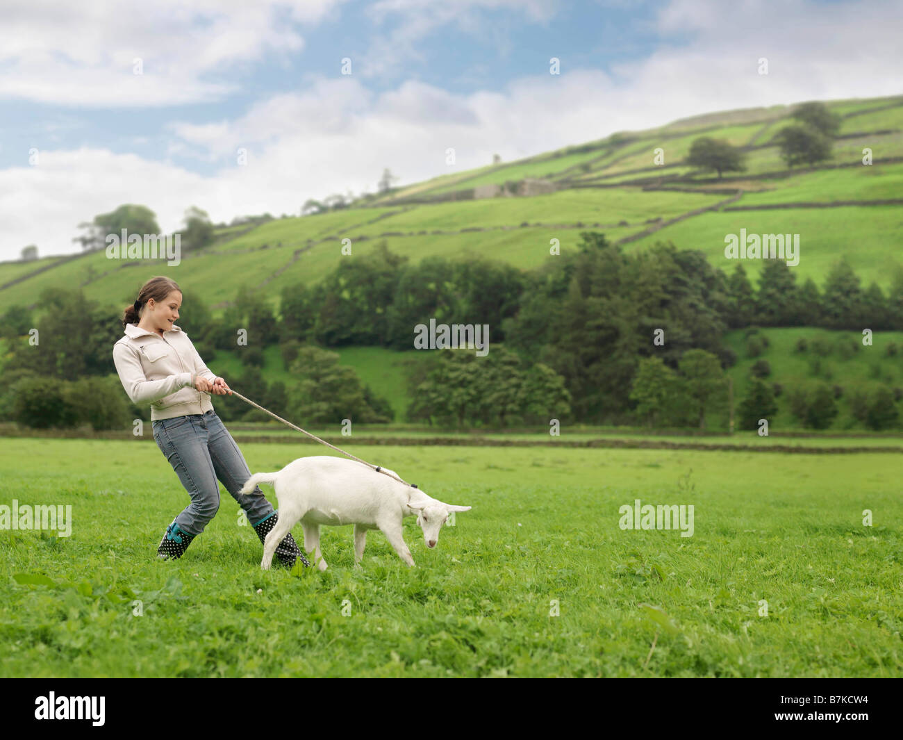 Animal Pulling Farm High Resolution Stock Photography and Images - Alamy