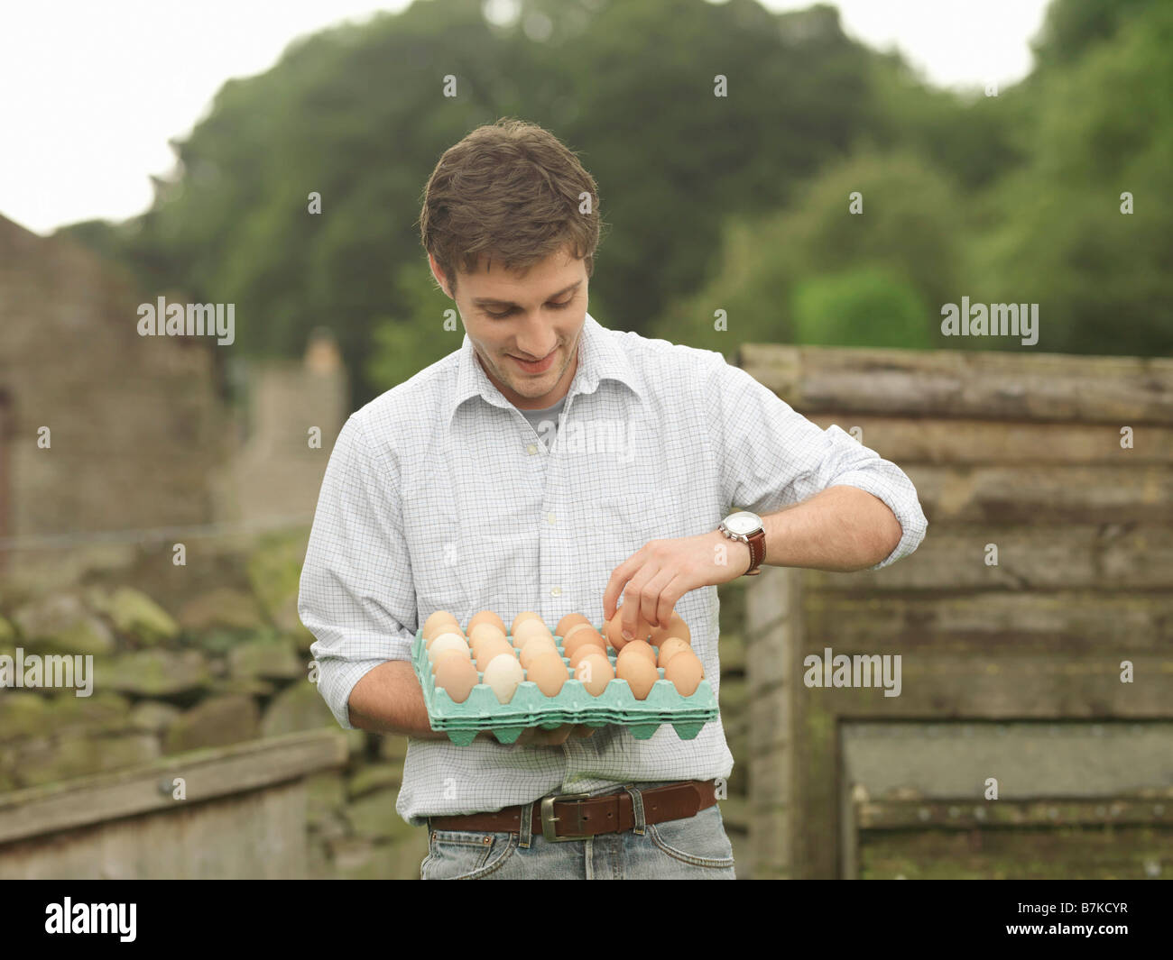 Sorting Tray High Resolution Stock Photography and Images - Alamy