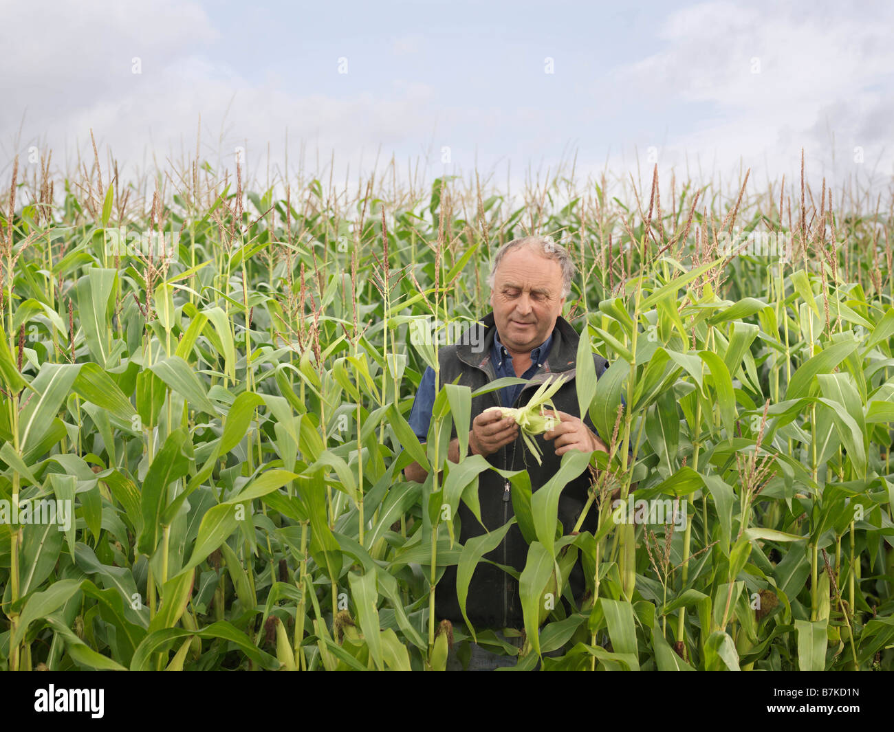 Crop quality hi-res stock photography and images - Alamy