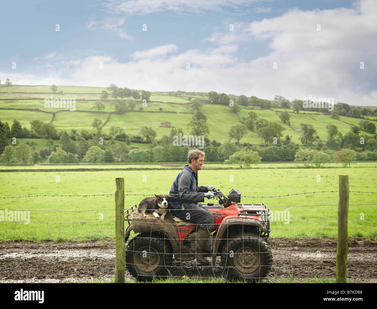 Farmer driving his tractor hi-res stock photography and images - Alamy