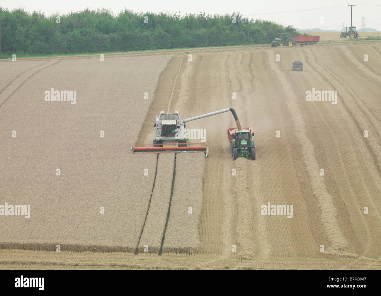 Combine combining hi-res stock photography and images - Alamy