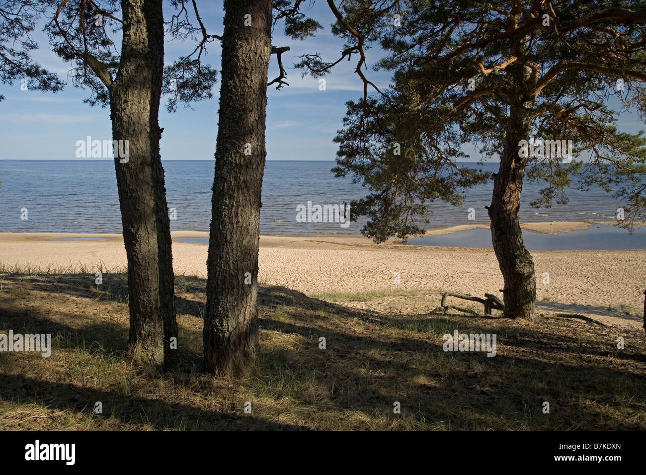 Lake Peipsi, Kauksi Beach, Estonia, Europe Stock Photo - Alamy
