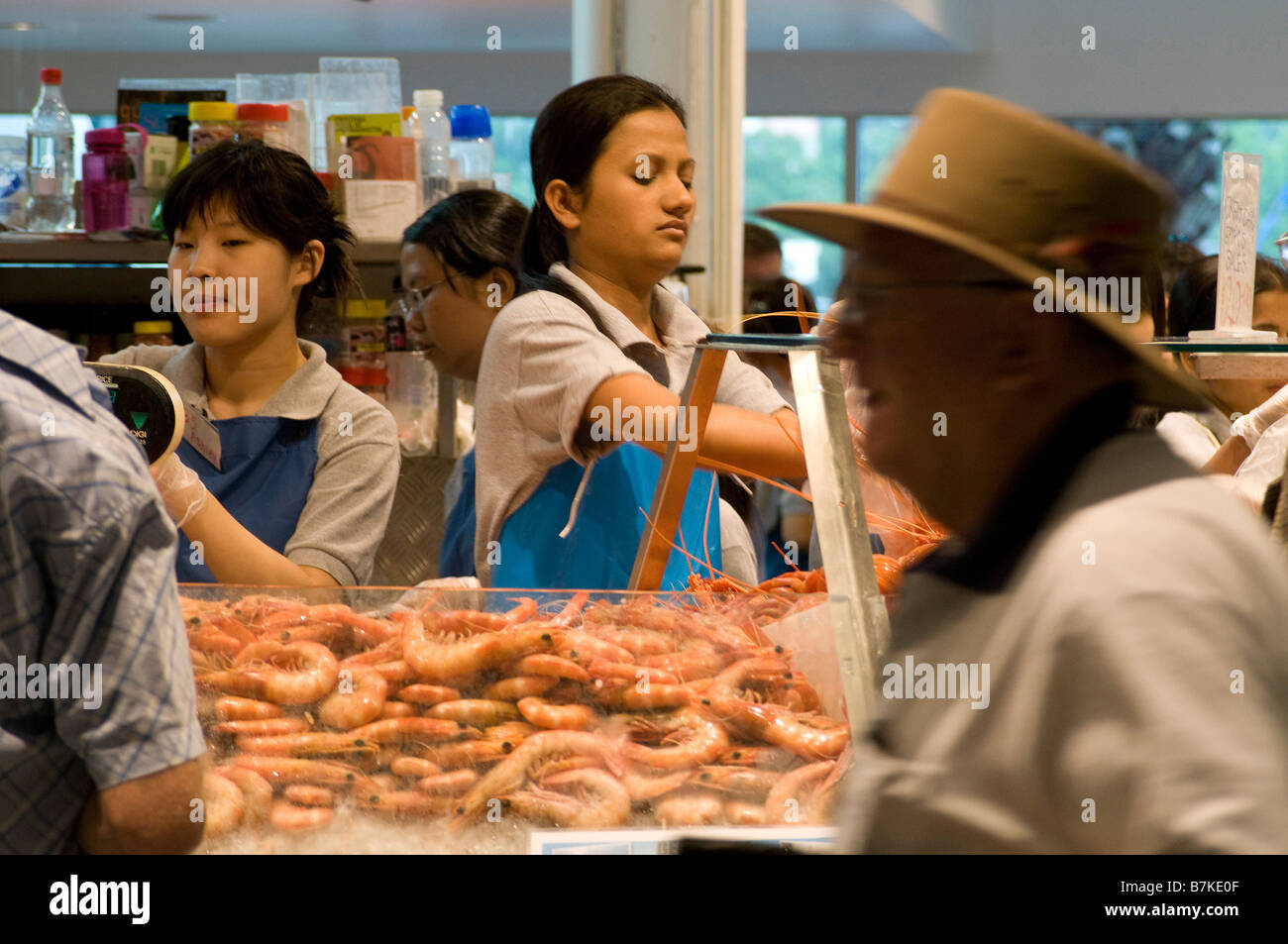 Lobster sydney fish market hi-res stock photography and images - Alamy