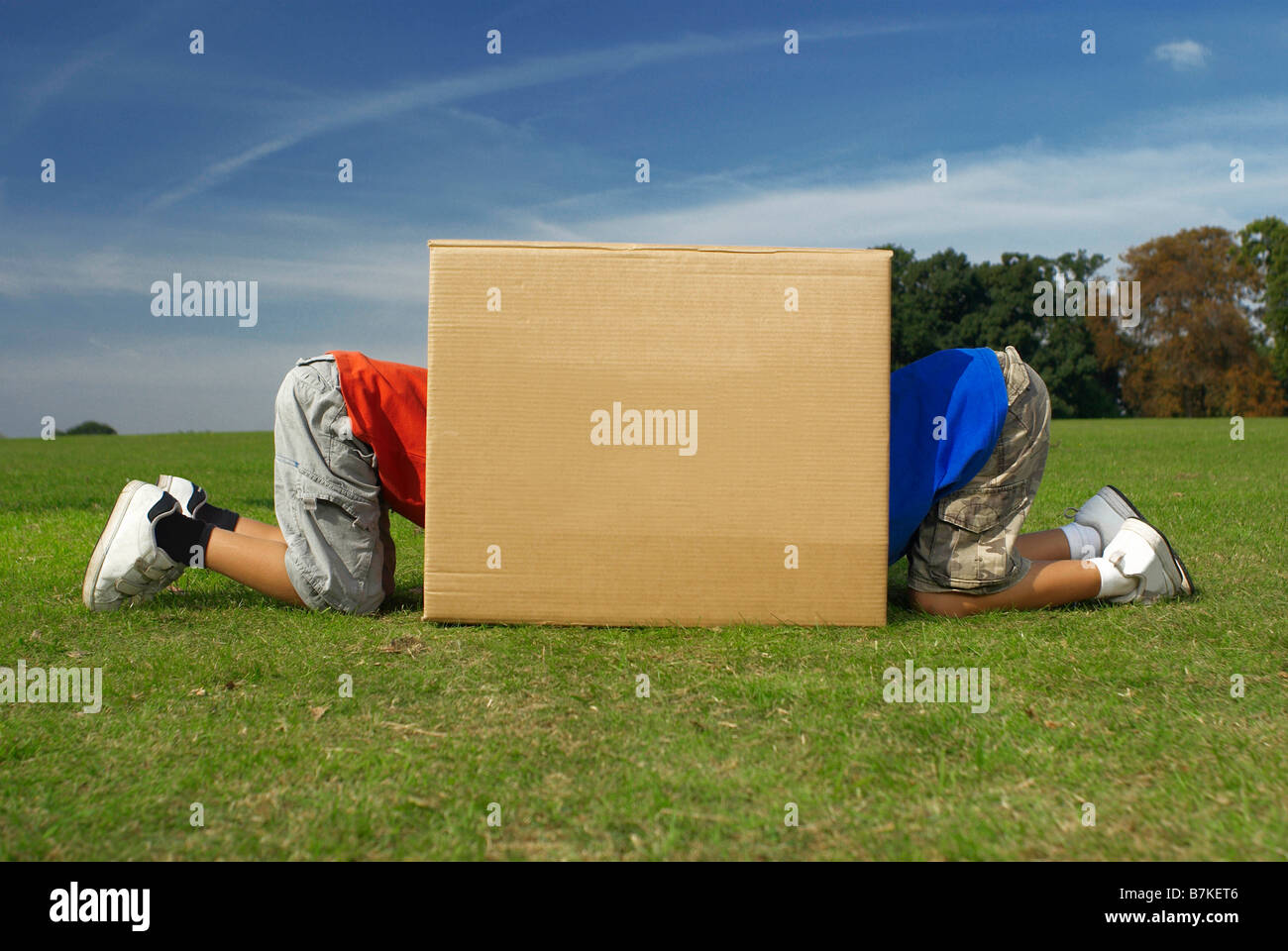 two boys crawling into box Stock Photo - Alamy
