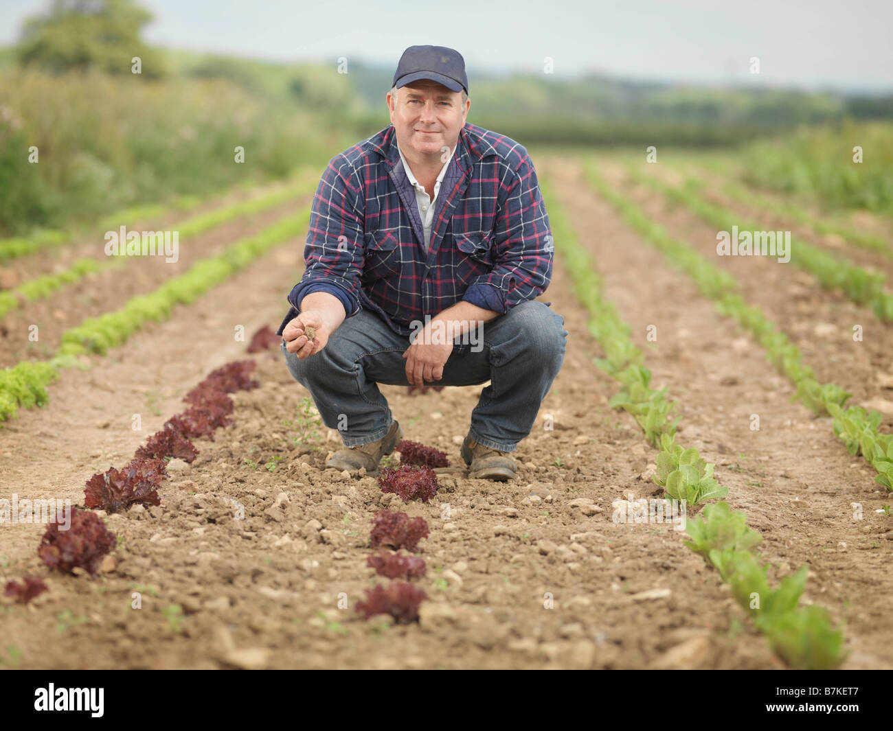 Farmer crop row hi-res stock photography and images - Alamy