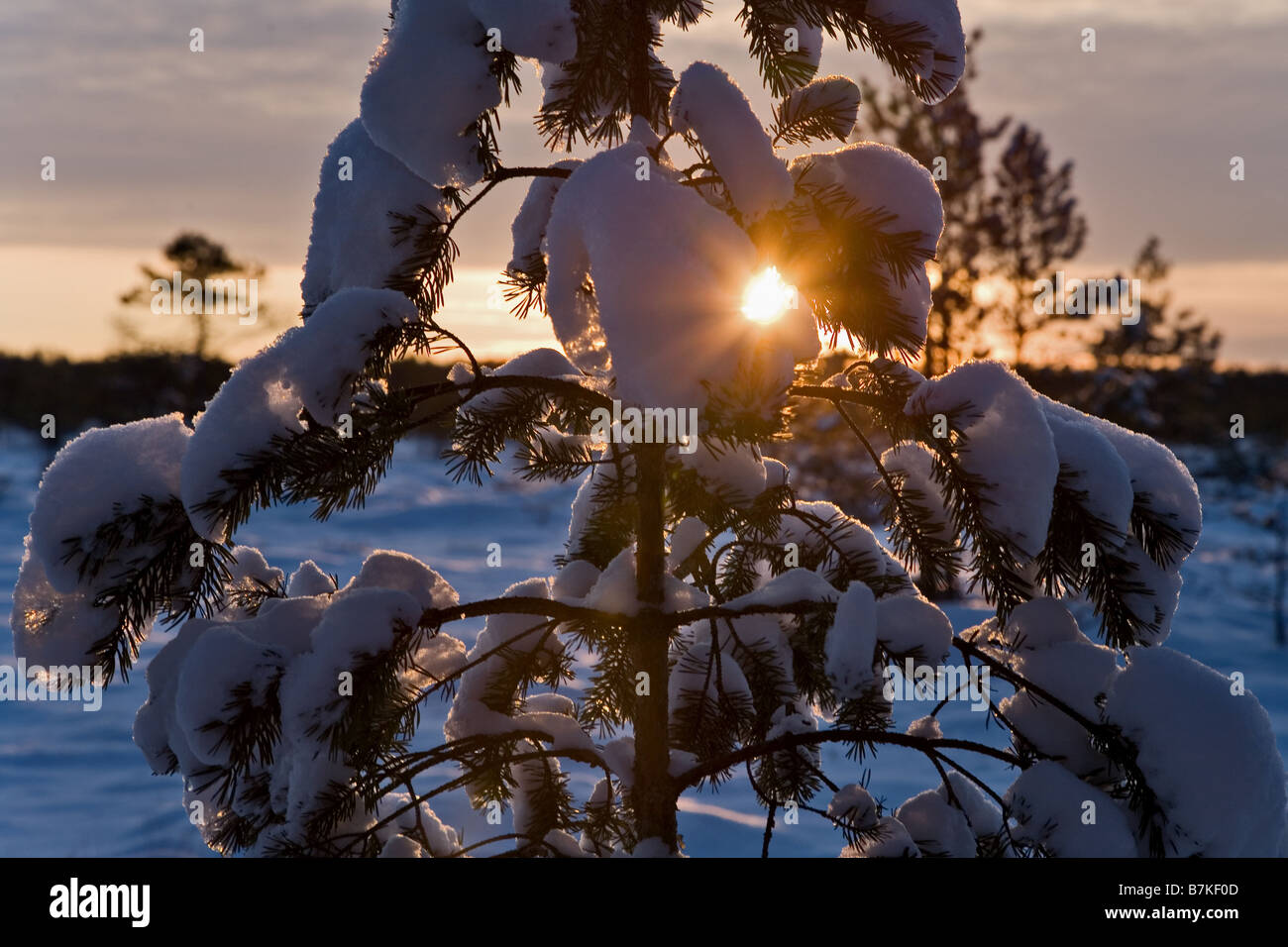 Endla nature reserve hi-res stock photography and images - Alamy