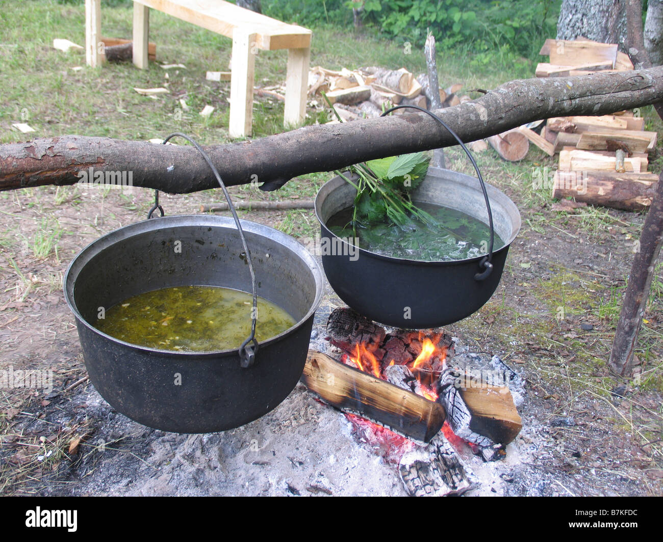 Old Nick, Paganamaa Landscape Reserve, Võru County, Estonia Stock Photo ...