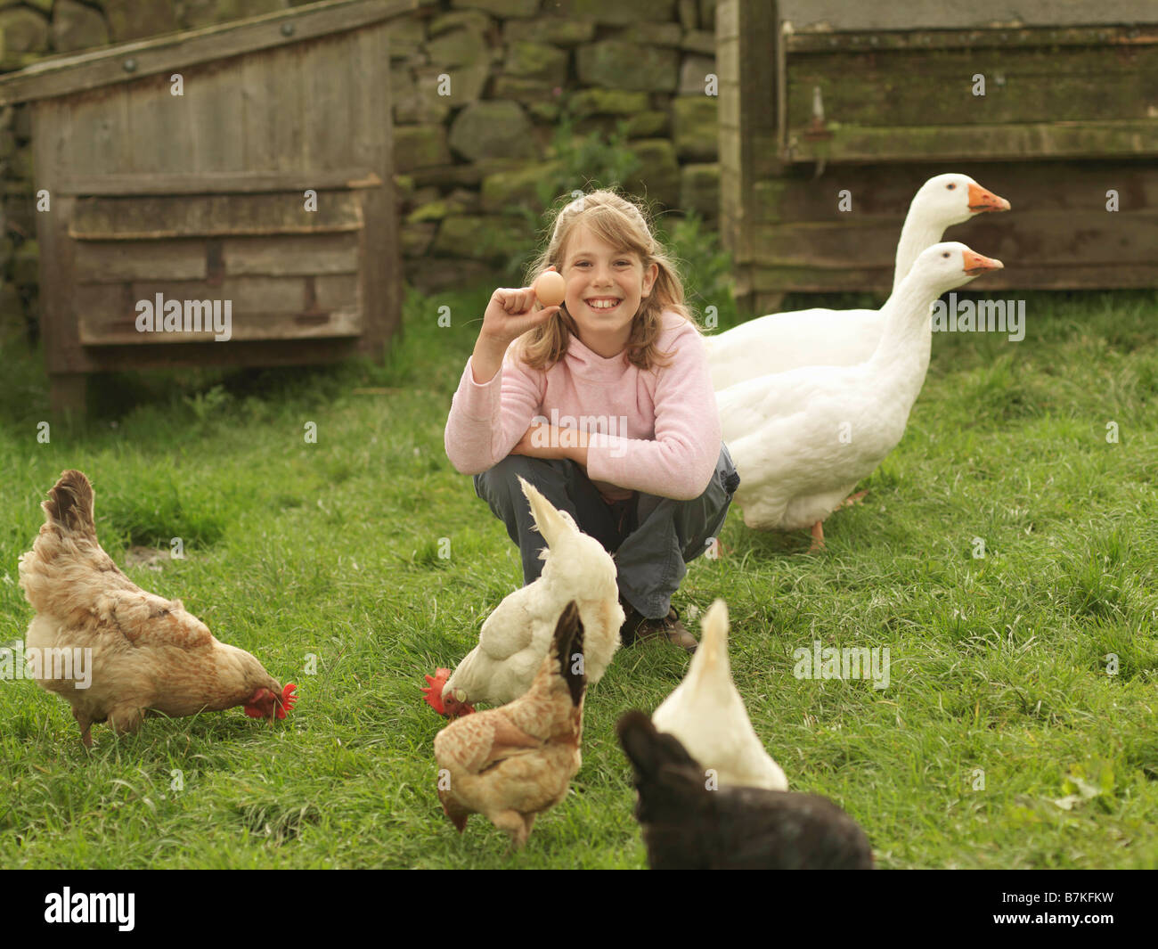 Child And Goose High Resolution Stock Photography and Images - Alamy