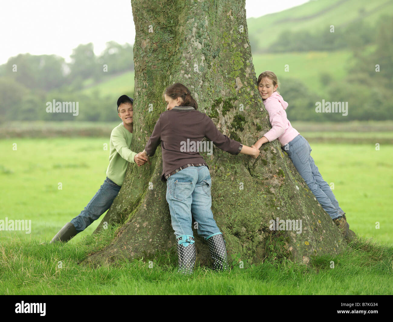 Preservation tree hi-res stock photography and images - Alamy