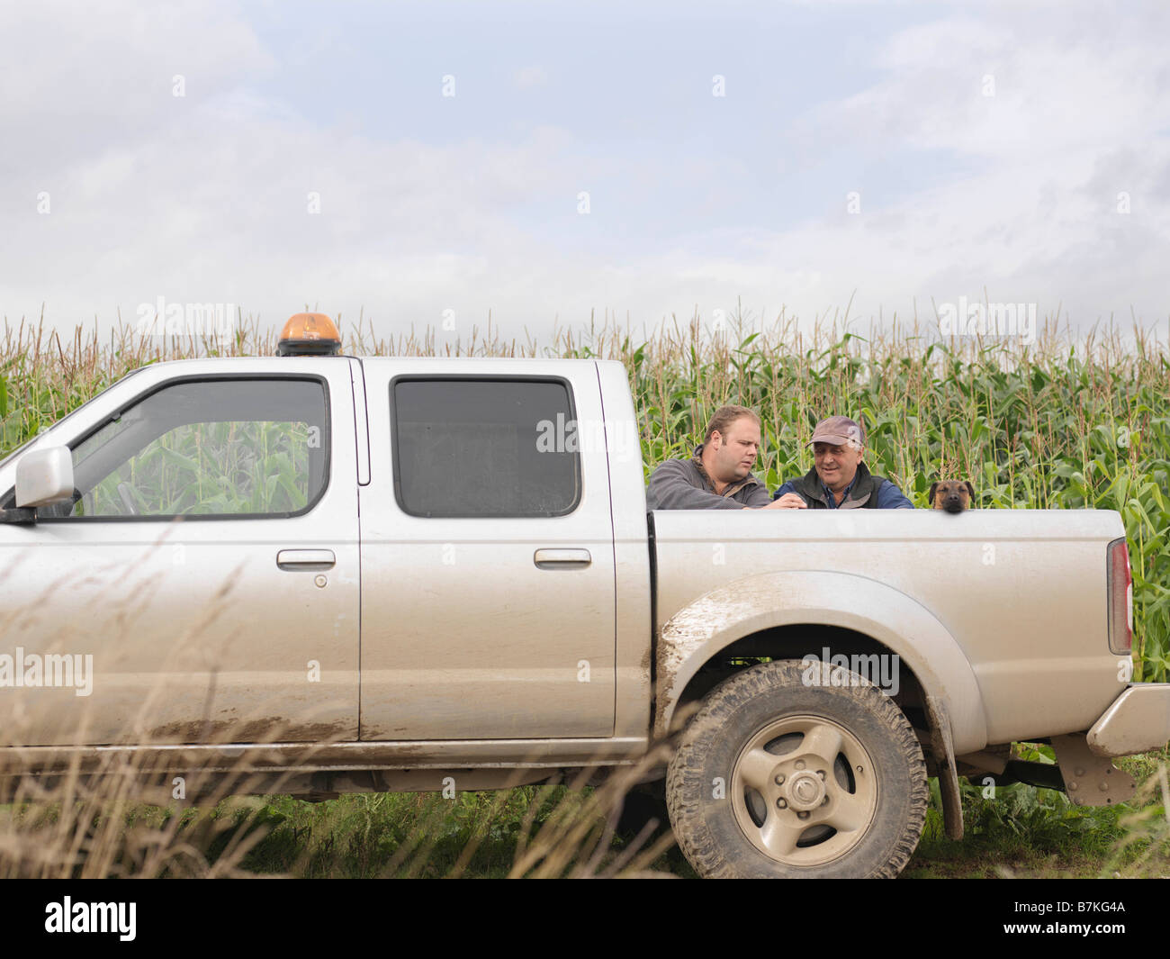 Farmers Dog Stock Photos & Farmers Dog Stock Images - Alamy