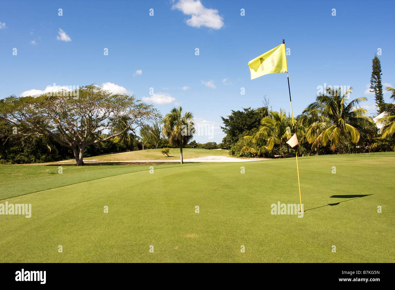 Green and yellow flag hi-res stock photography and images - Alamy