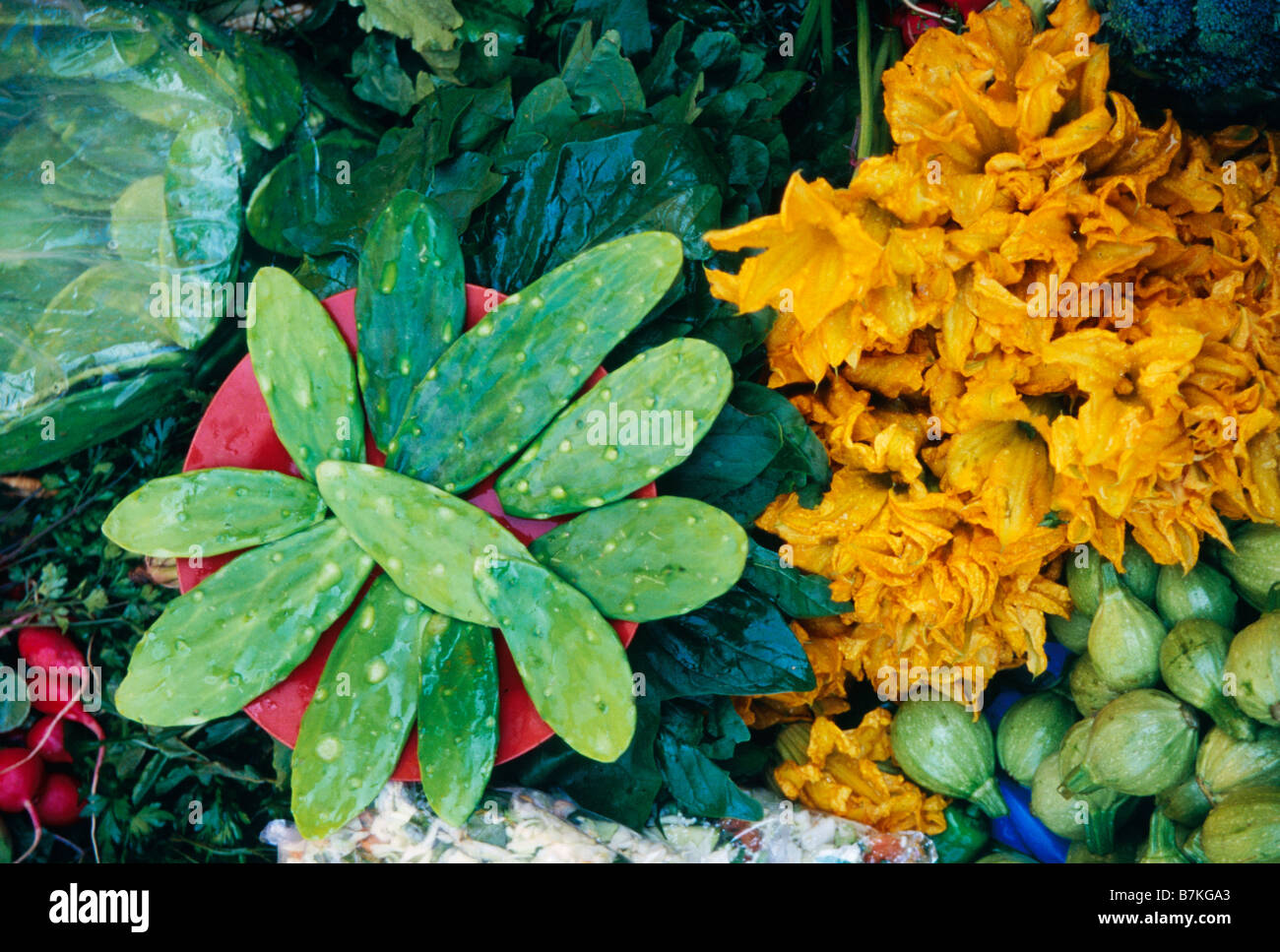 Nopales salad hi-res stock photography and images - Alamy