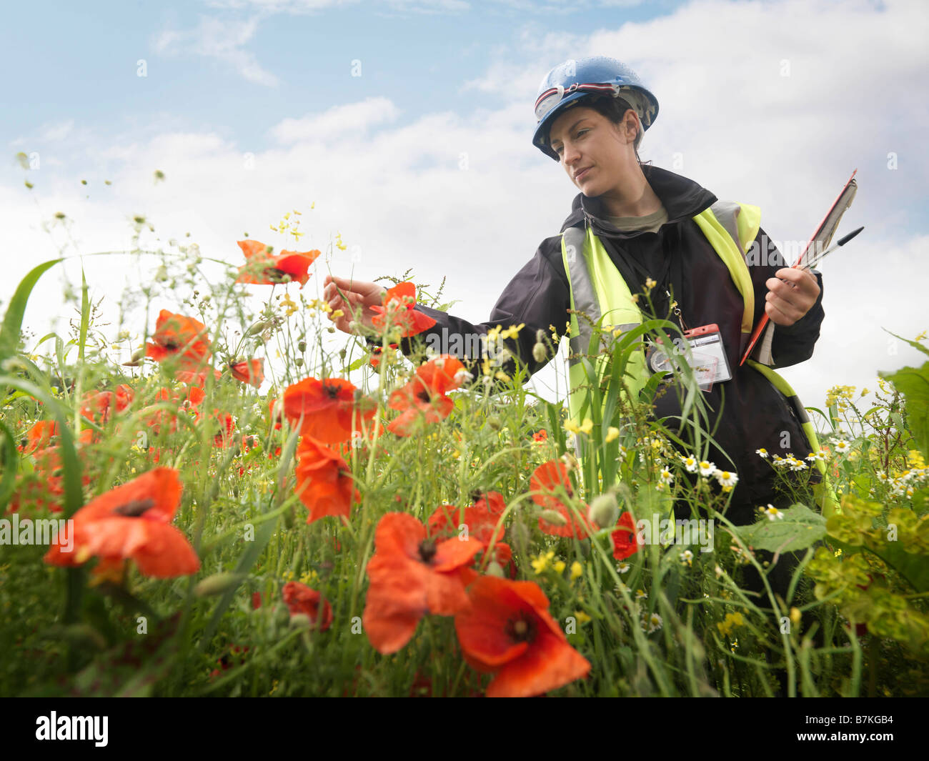 Plant ecologist hi-res stock photography and images - Alamy