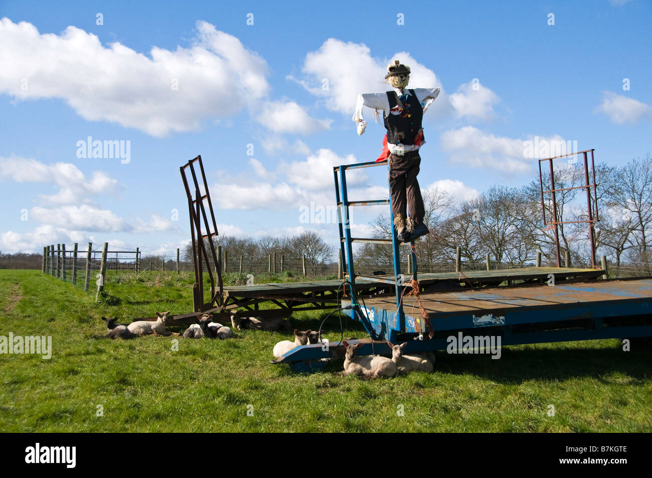 Scarecrow field spring uk hi-res stock photography and images - Alamy