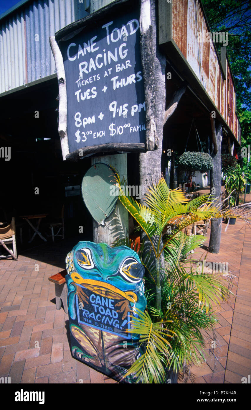 Pub Bar Cane Toad racing sign Painted images PORT DOUGLAS QUEENSLAND ...