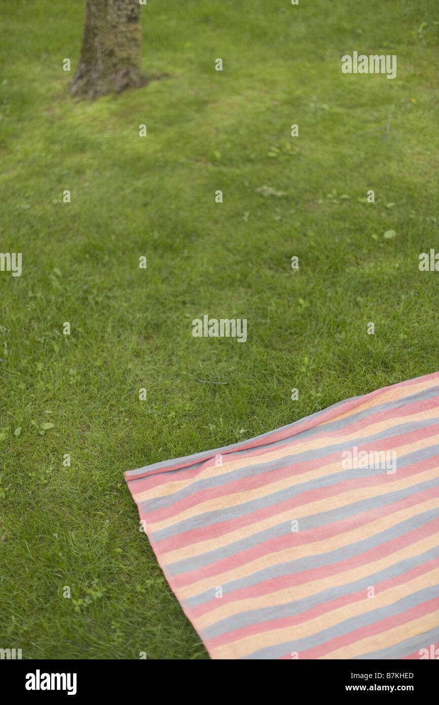 Picnic Rug on a Lawn Stock Photo - Alamy