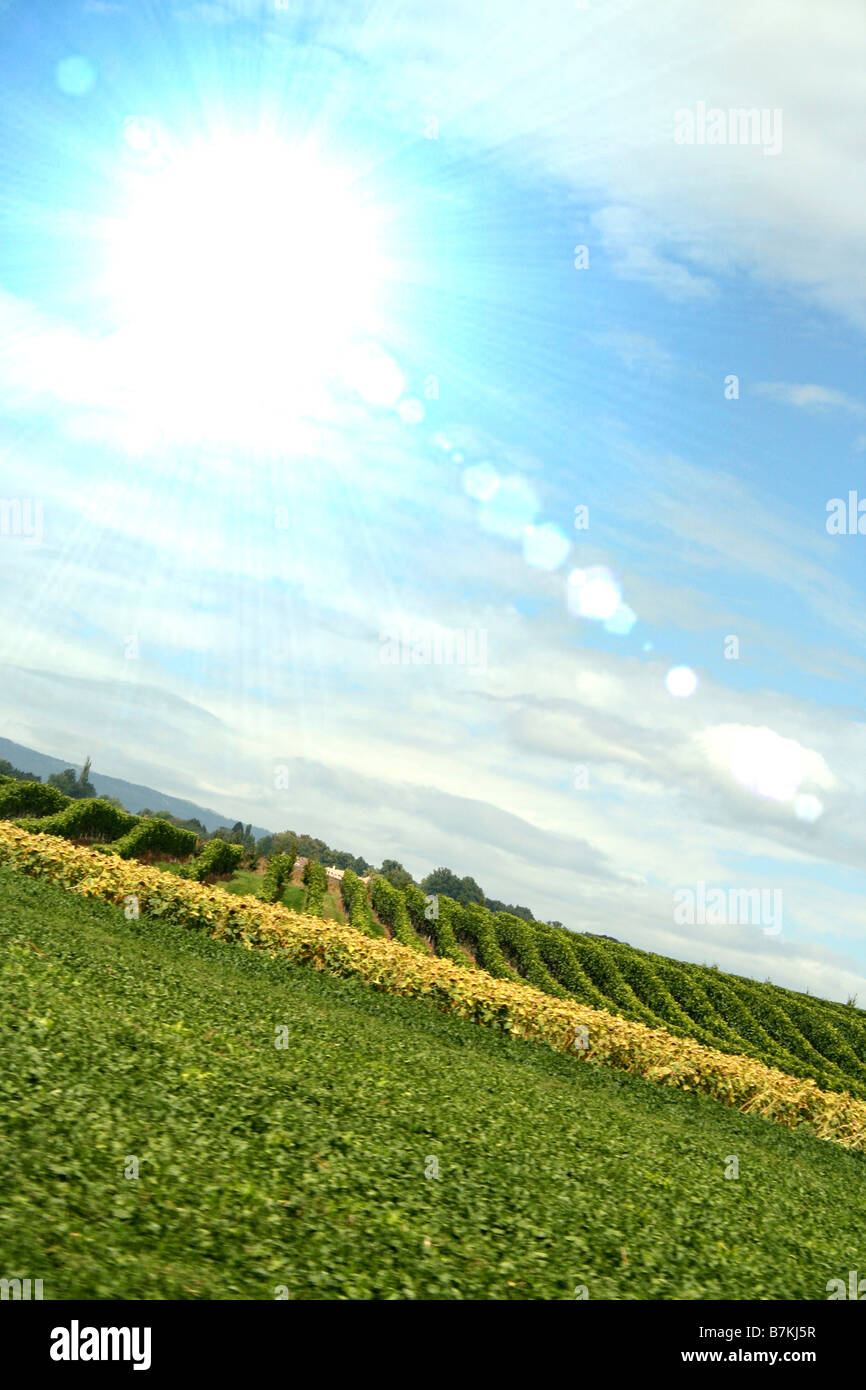 Beautiful country landscape view Great nature scene Stock Photo - Alamy