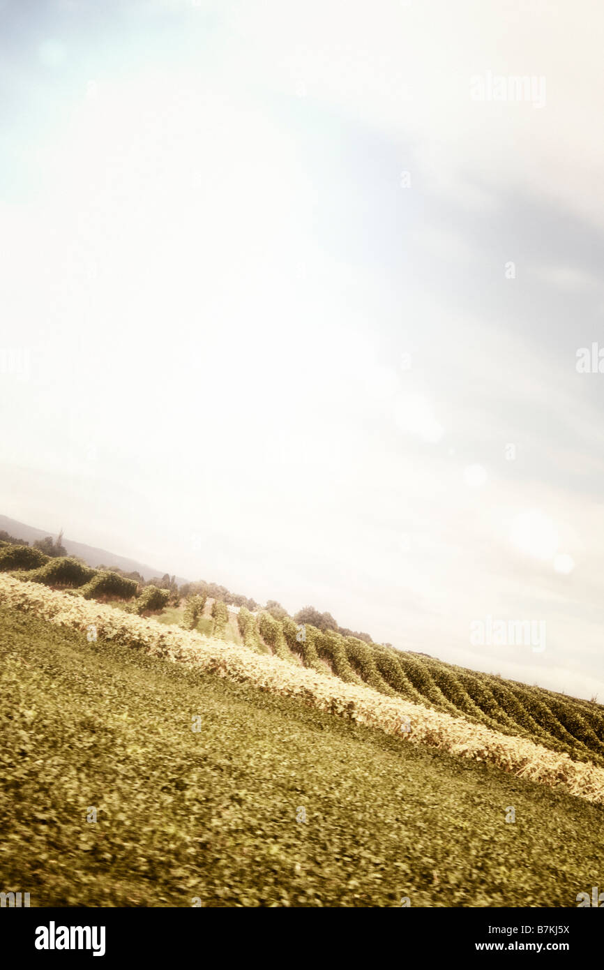 Beautiful country landscape view Great nature scene Stock Photo - Alamy