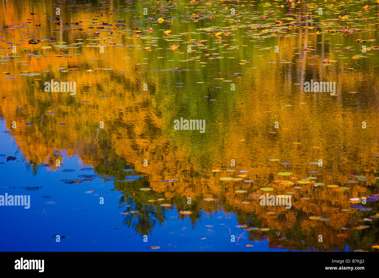 Fall (autumn) at Trout Lake, North Carolina, USA Stock Photo - Alamy